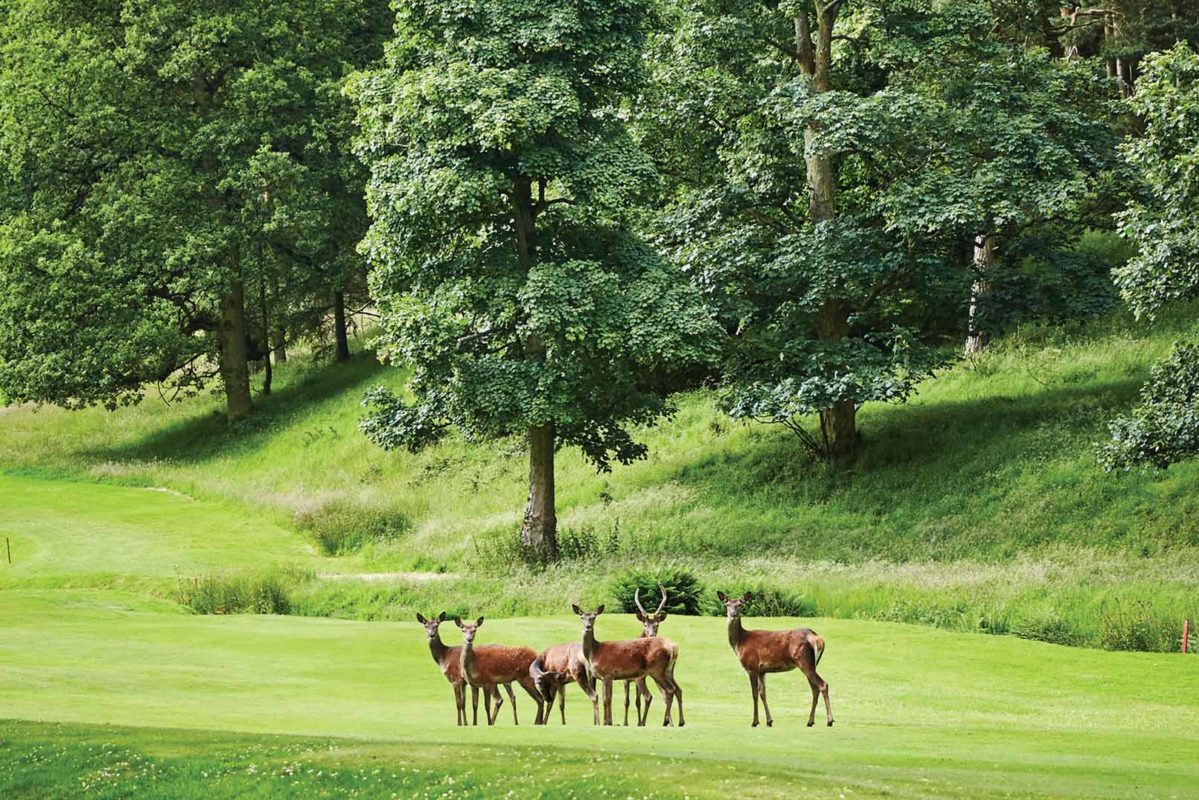 Golf Country Club in Macclesfield | The Shrigley Hall Golf Club