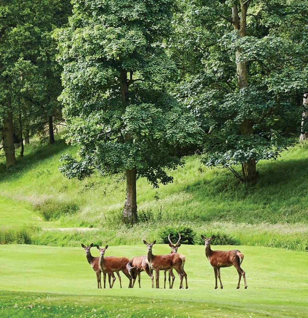 Golf Country Club in Macclesfield | The Shrigley Hall Golf Club
