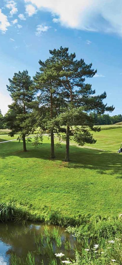 Golf Course at Shrigley Hall Hotel | Golf Course Cheshire