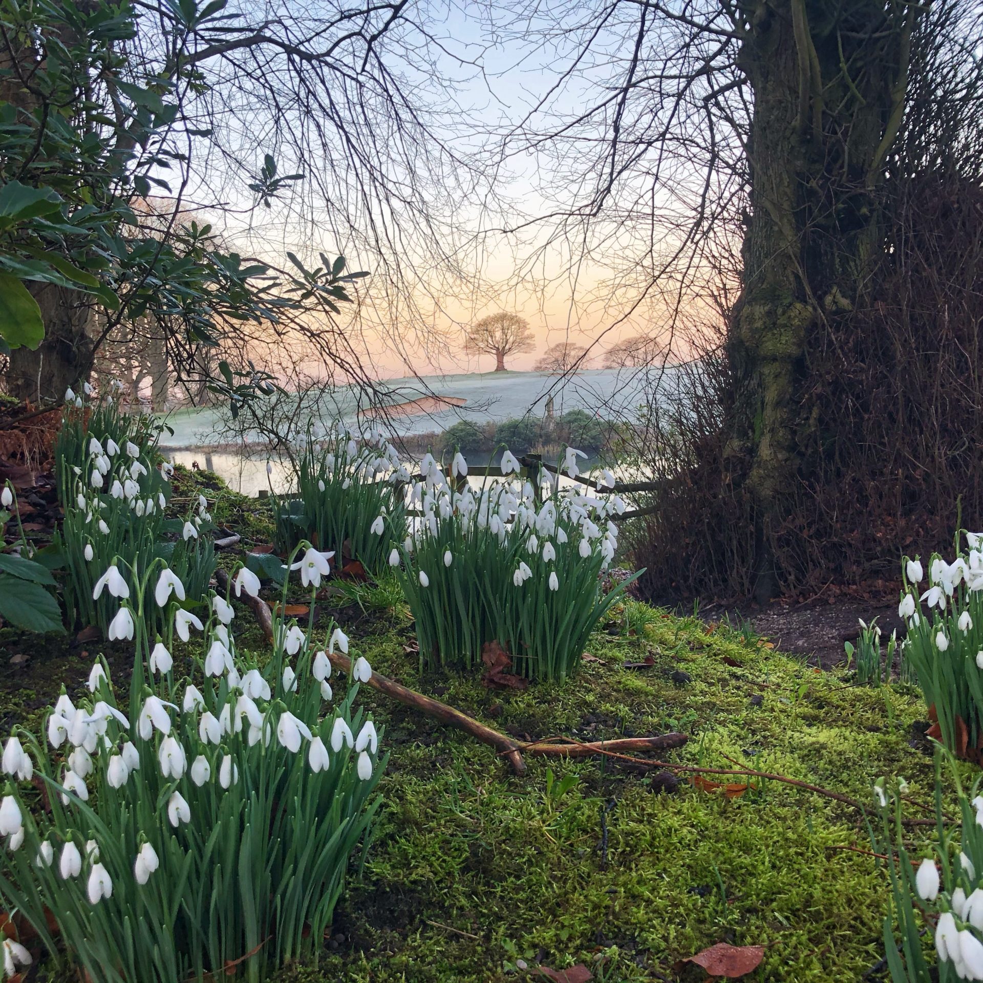 Spring Breaks in Cheshire | 4* Shrigley Hall Hotel & Spa