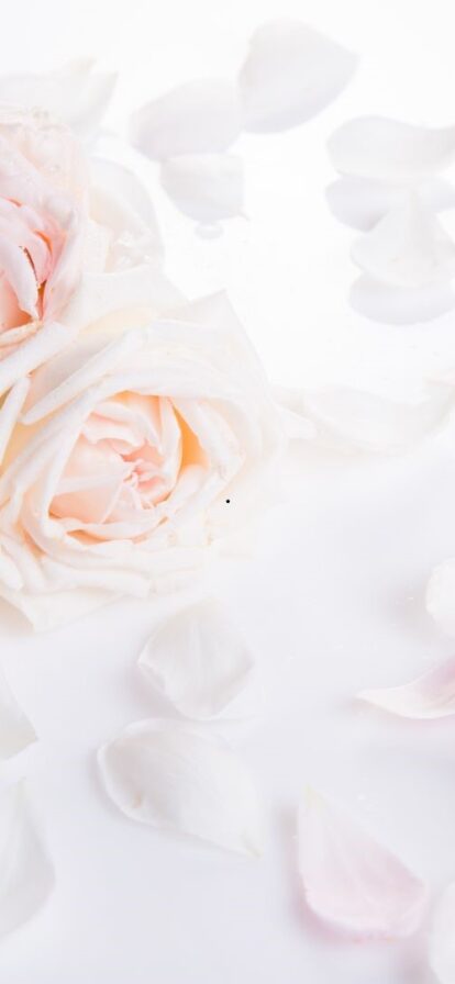 Wedding Packages | Shrigley Hall Hotel & Spa